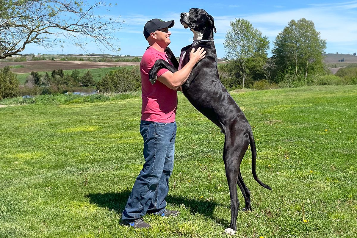 Meet Kevin, The World’s Tallest Living Dog From West…