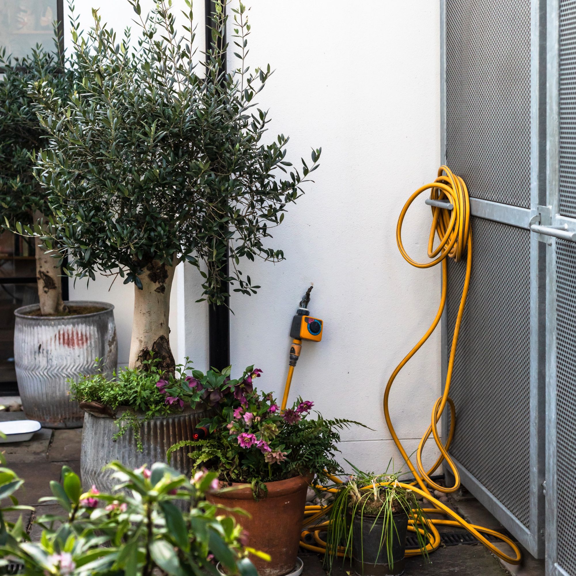 How to increase the water pressure in a hose - experts…