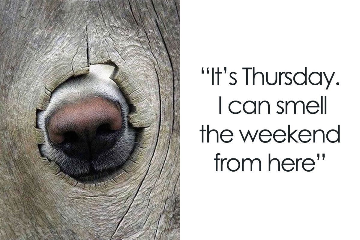 42 Thursday Memes To Get You Excited For The Weekend…