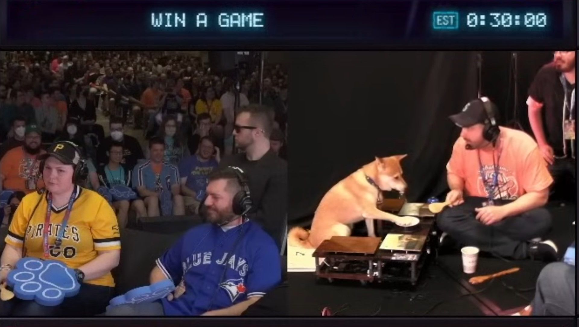 Peanut Butter the dog finishes Ken Griffey Jr speedrun…