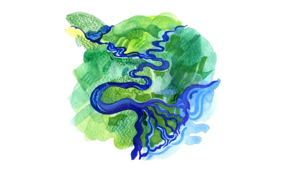 How many rivers are there in the world? Try our kids’…