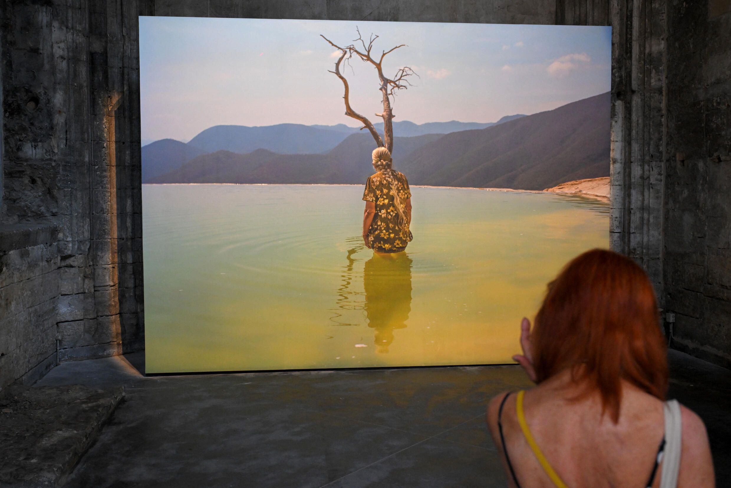 Arles photo festival defiantly celebrates world's…