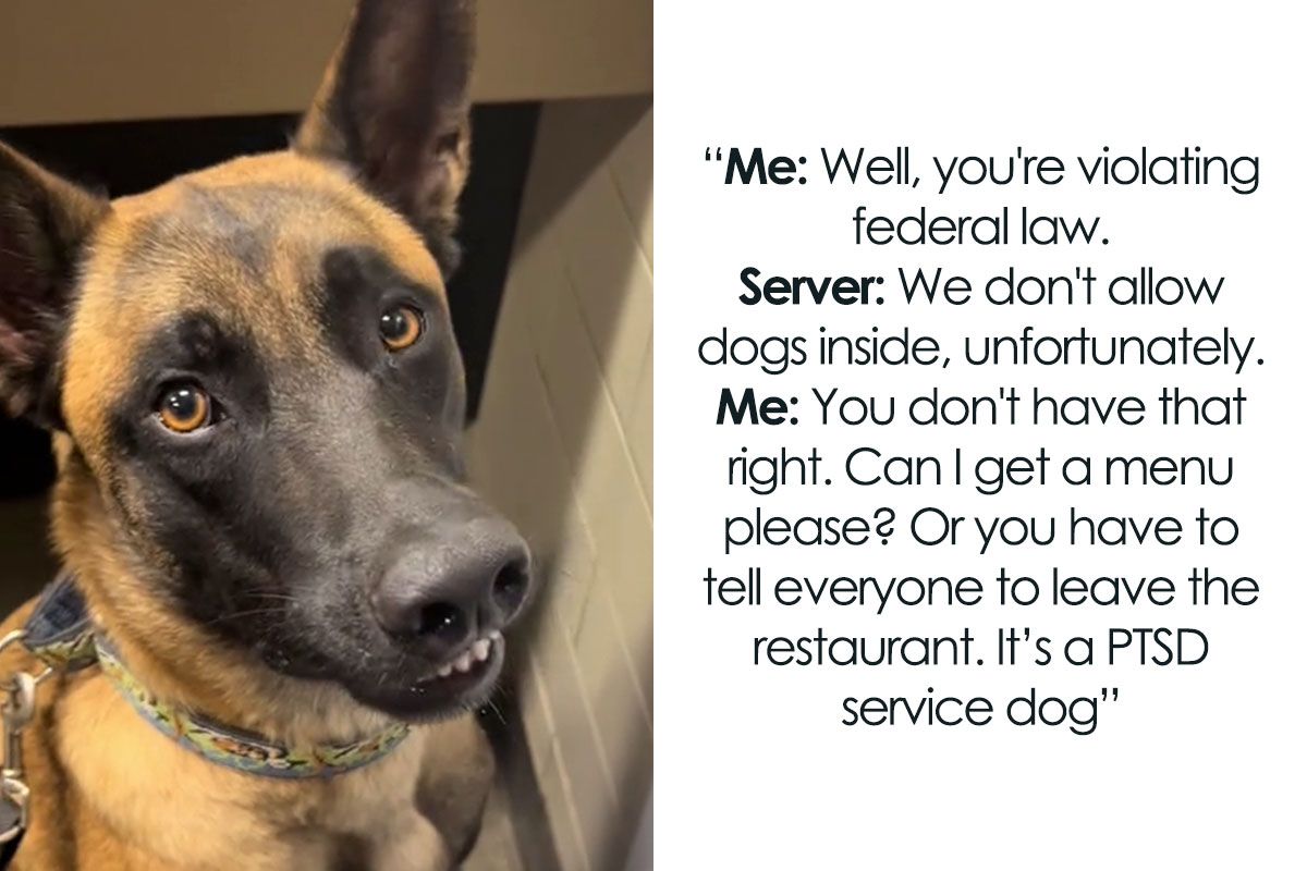 Patron With Service Dog Kicked Out By Restaurant…