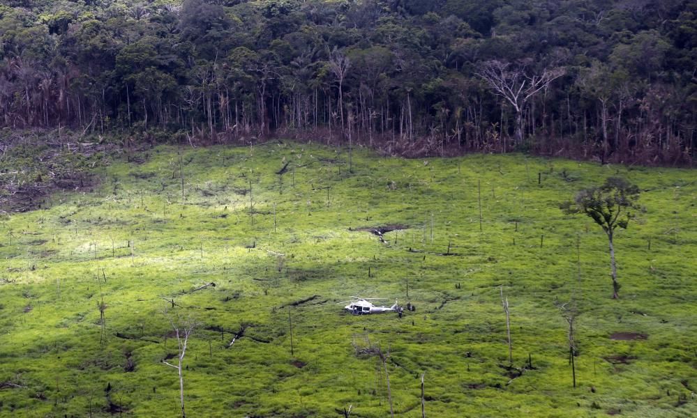 Deforestation in Colombia falls to lowest level in 23…