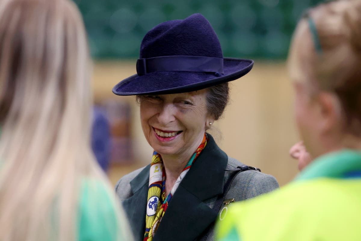 Princess Anne says she ‘can’t remember a thing’ about…