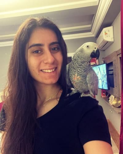 The Latest Breaking News from Nour El Sherbini – inkl news