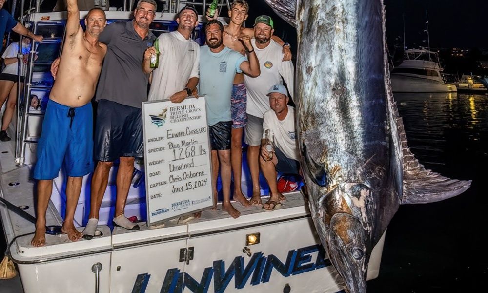 Bermuda anglers in grand mood after ‘historic’ marlin…