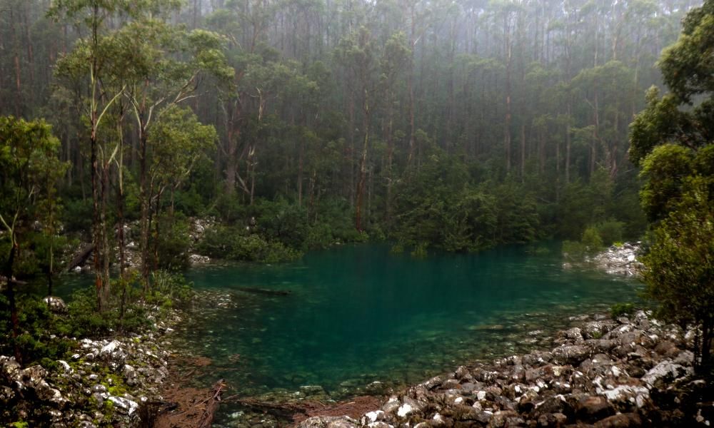 Rain has restored Tasmania’s famous Disappearing Tarn…