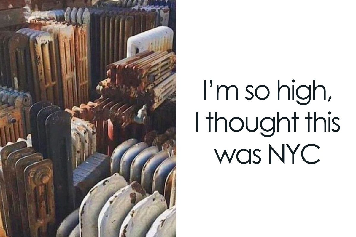 50 Random Memes That Have No Business Being So Funny