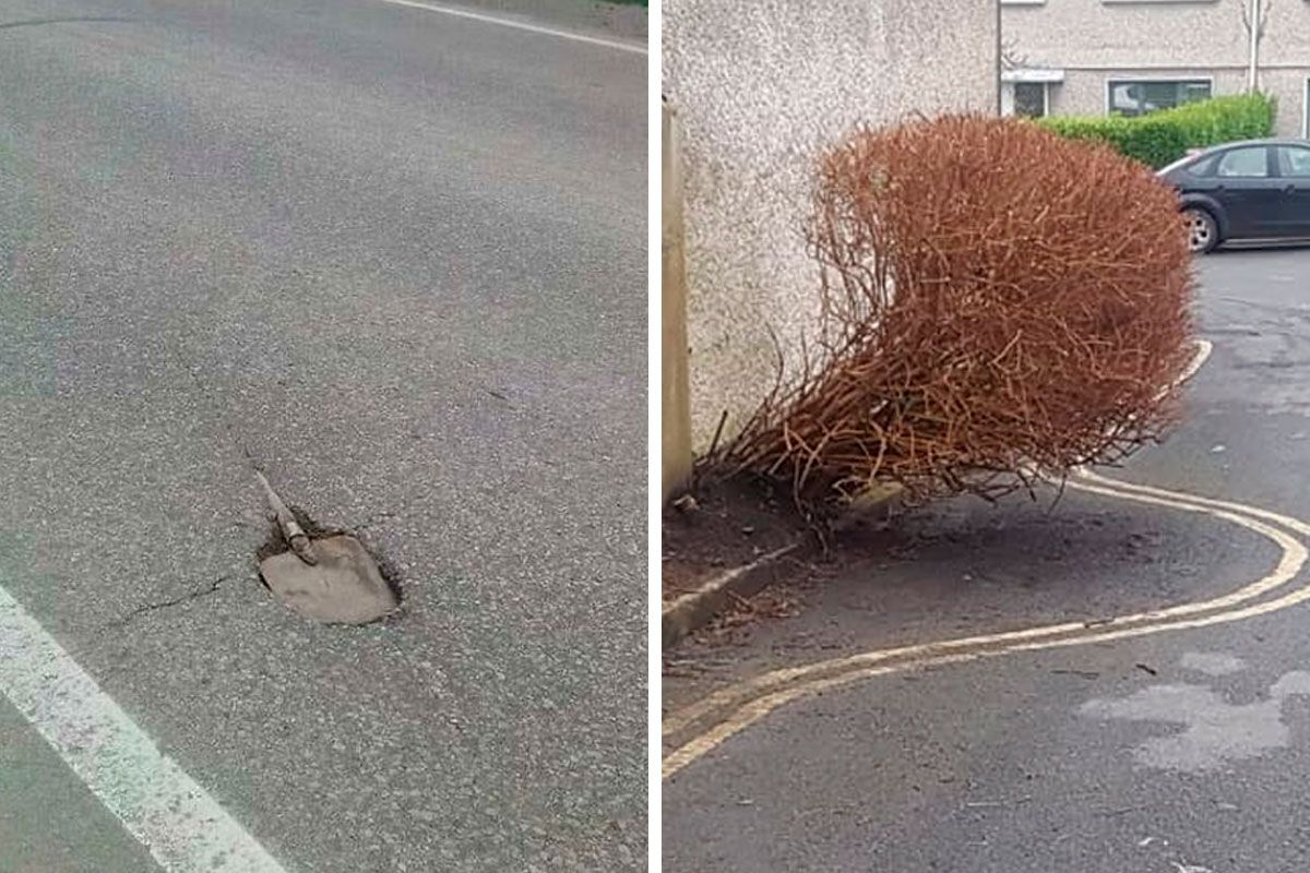 50 “Best Of All Time” Fails From People Who Live By…