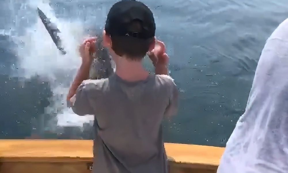 Great white shark exploding on bass a lesson for Cape…