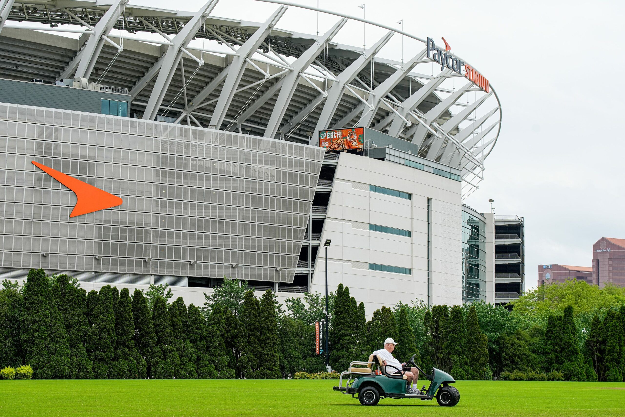 First sneak peek of Bengals’ new turf at Paycor…