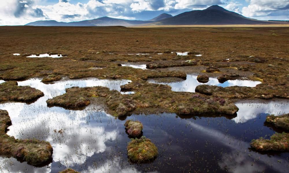 Northern Scotland’s Flow Country becomes world…