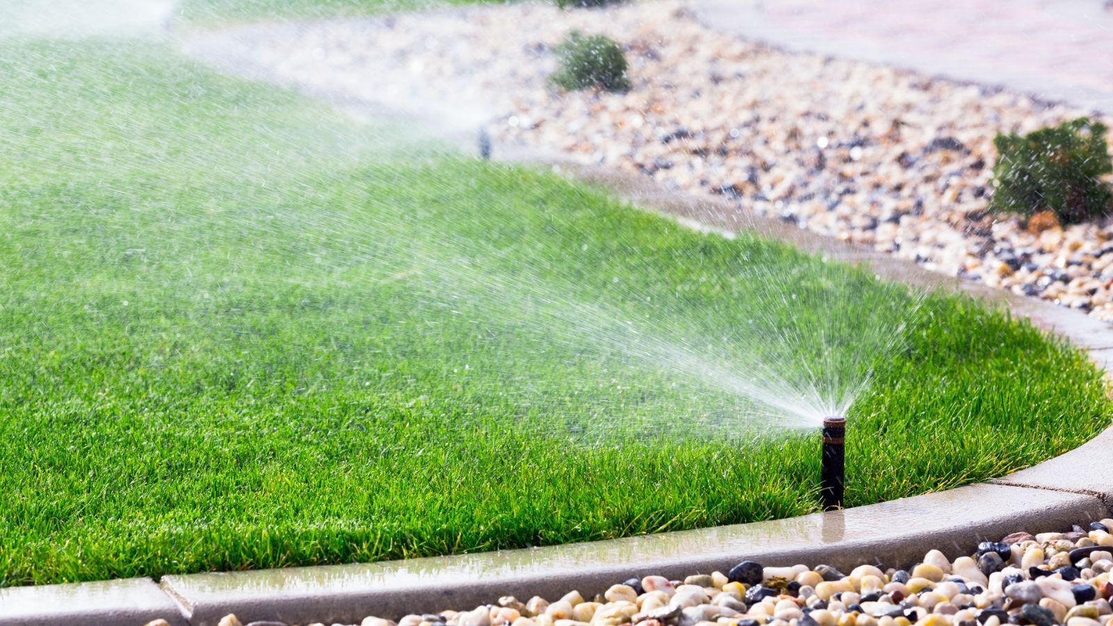 Which lawn sprinkler layout is best? Lawn experts have…