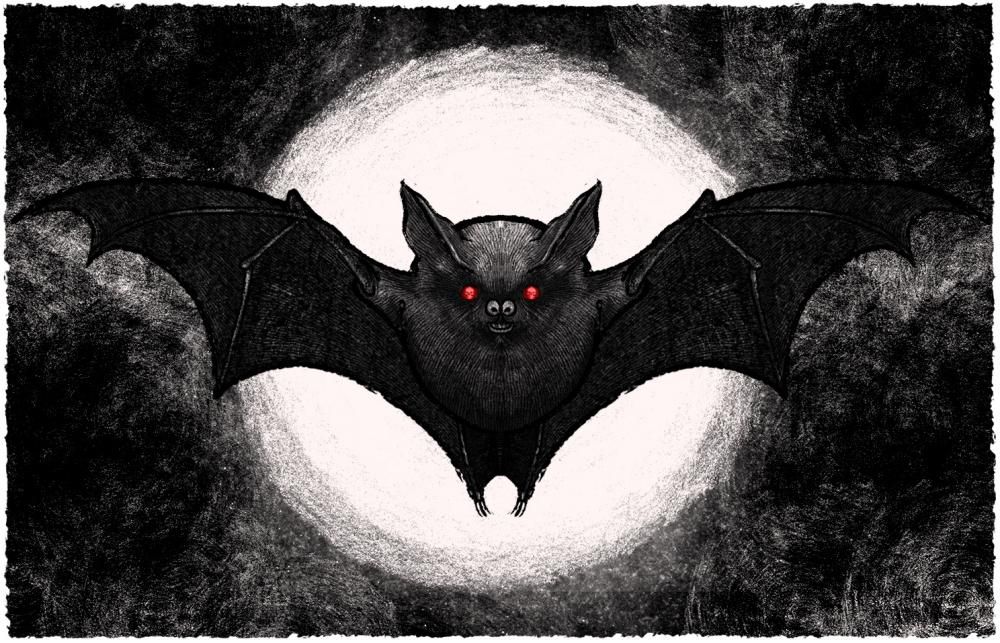 The end is nigh. For insects, bats, protest, the…