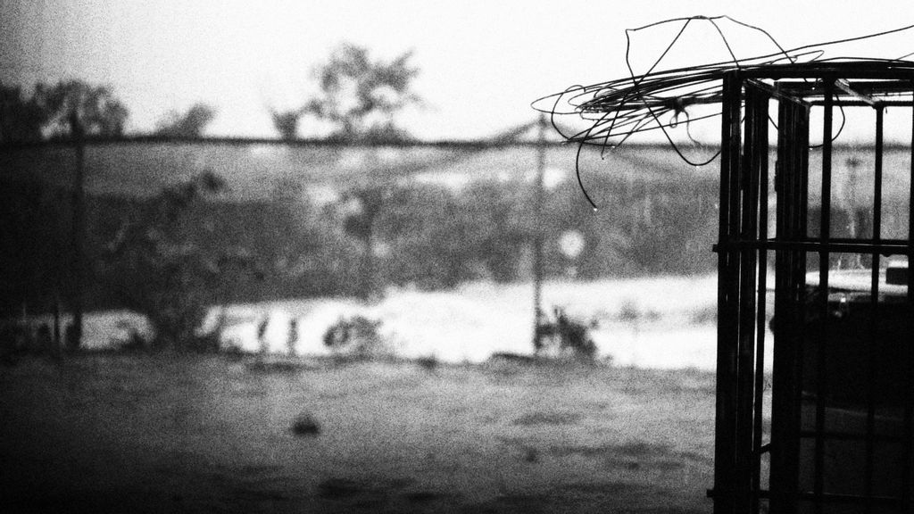 Hurricane Beryl Aftermath: Hope Emerges In Carriacou…