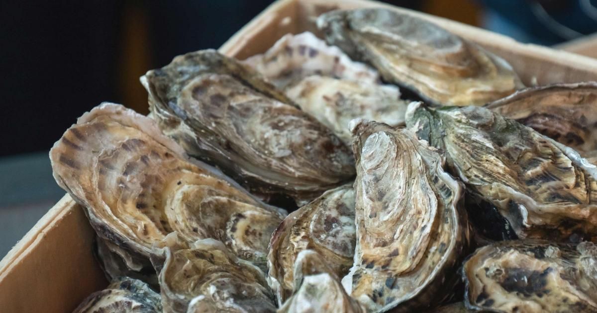People warned not to eat shellfish after high levels…