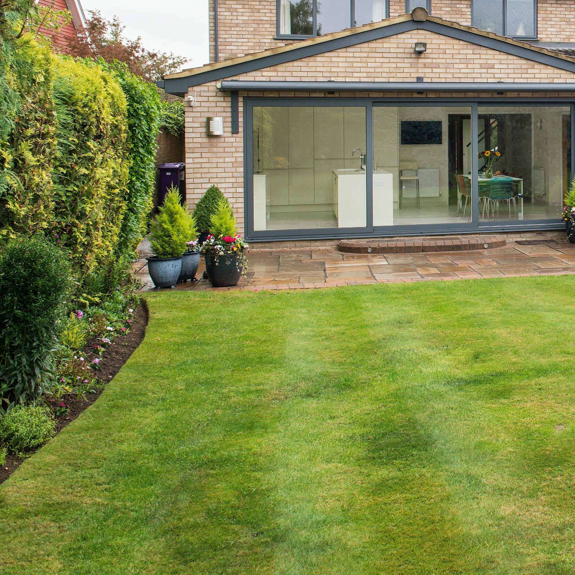 6 August lawn care tips to help your grass thrive