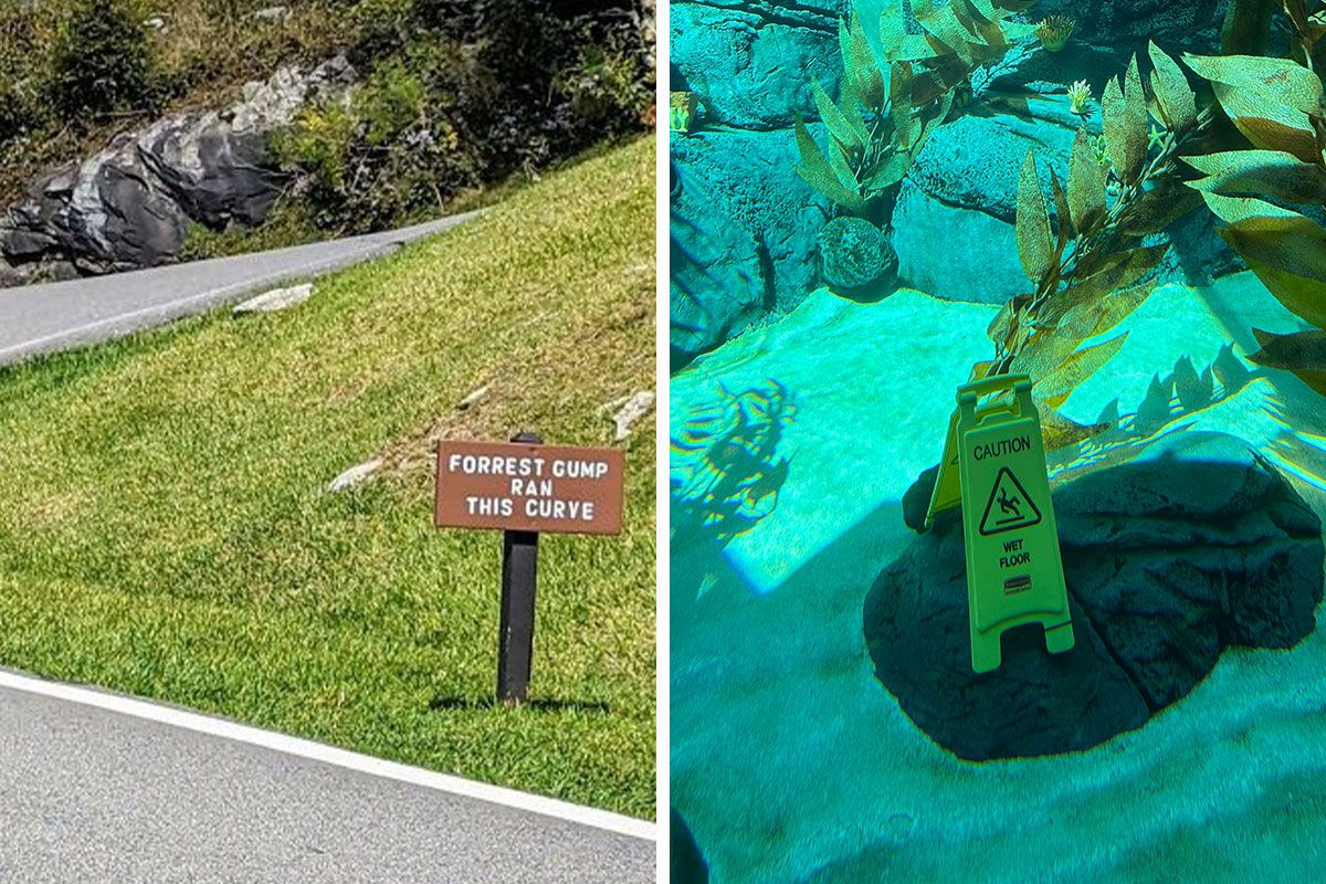 99 Clever Signs Spotted In Public That Deserved To Be…