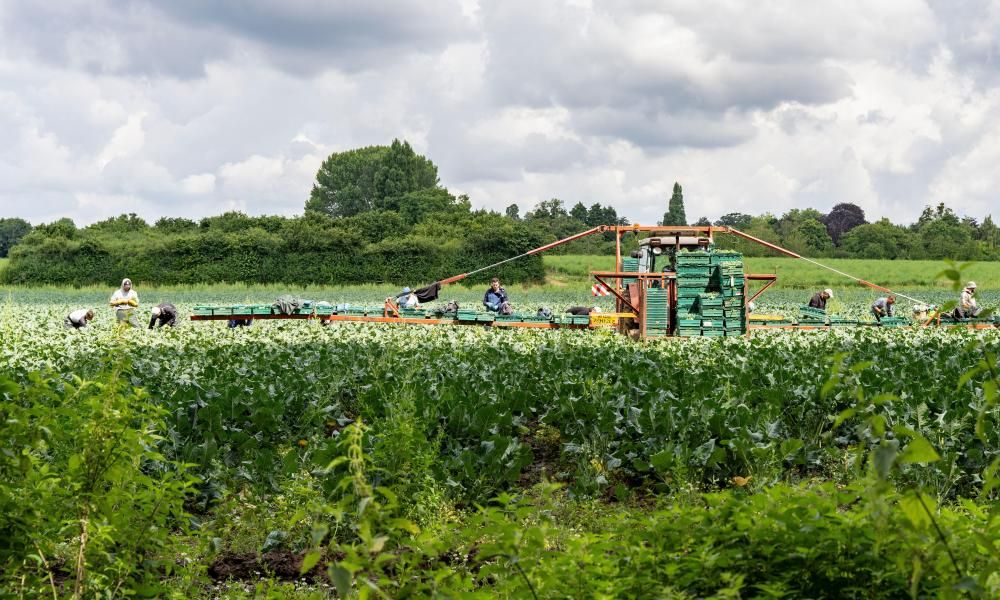 Wildlife boosted by England’s nature-friendly farming…