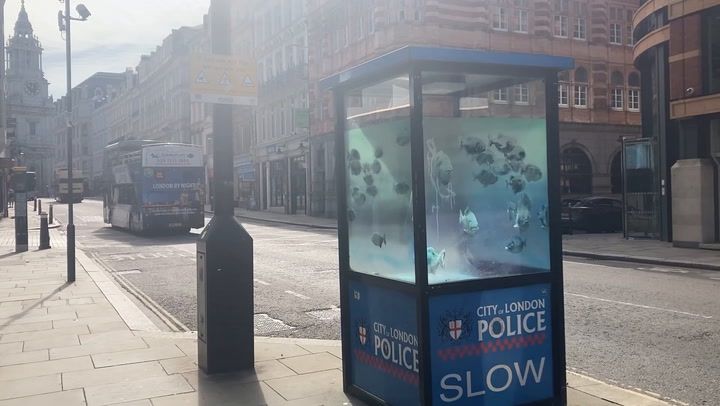 New swimming fish design on London police box…