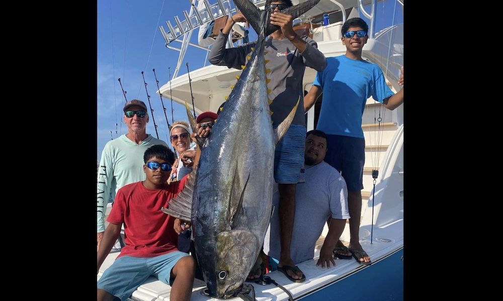Rare ‘cow’ tuna landed off Cabo San Lucas as bite…