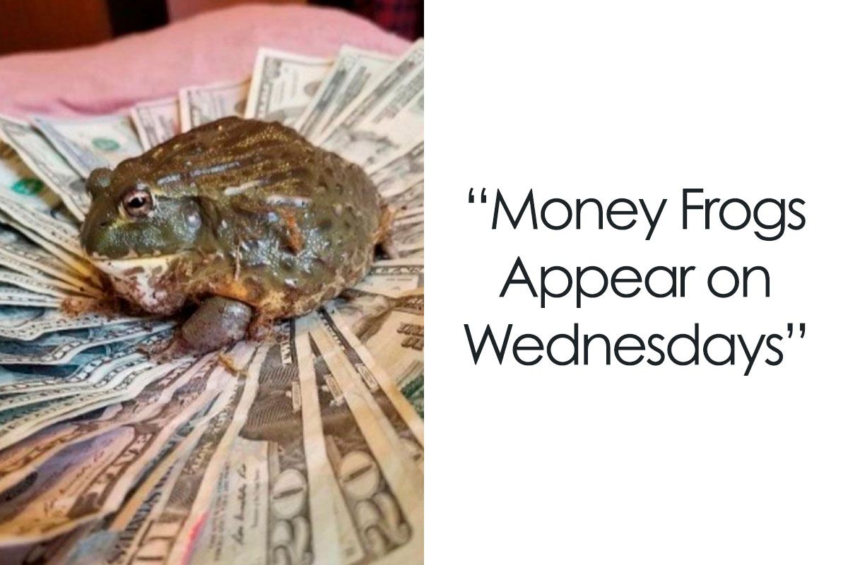 30 Wednesday Memes For A Midweek Mood Boost