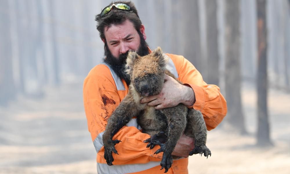 ‘He was choking on his own tongue’: animals suffer as…