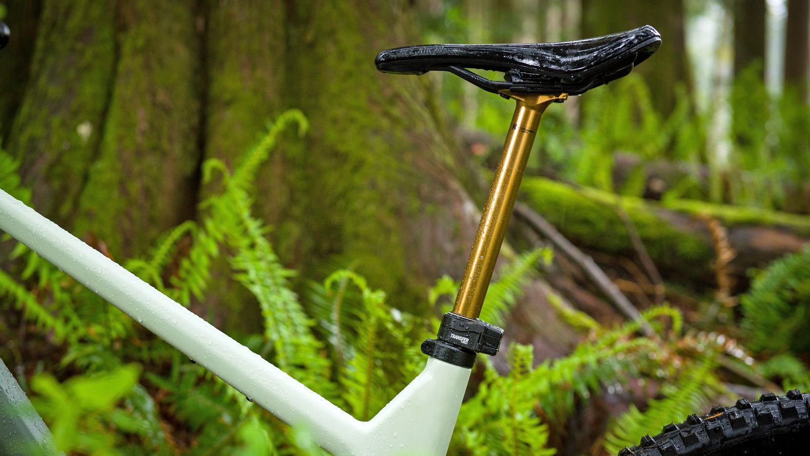 Fox releases its first electronic dropper post,…