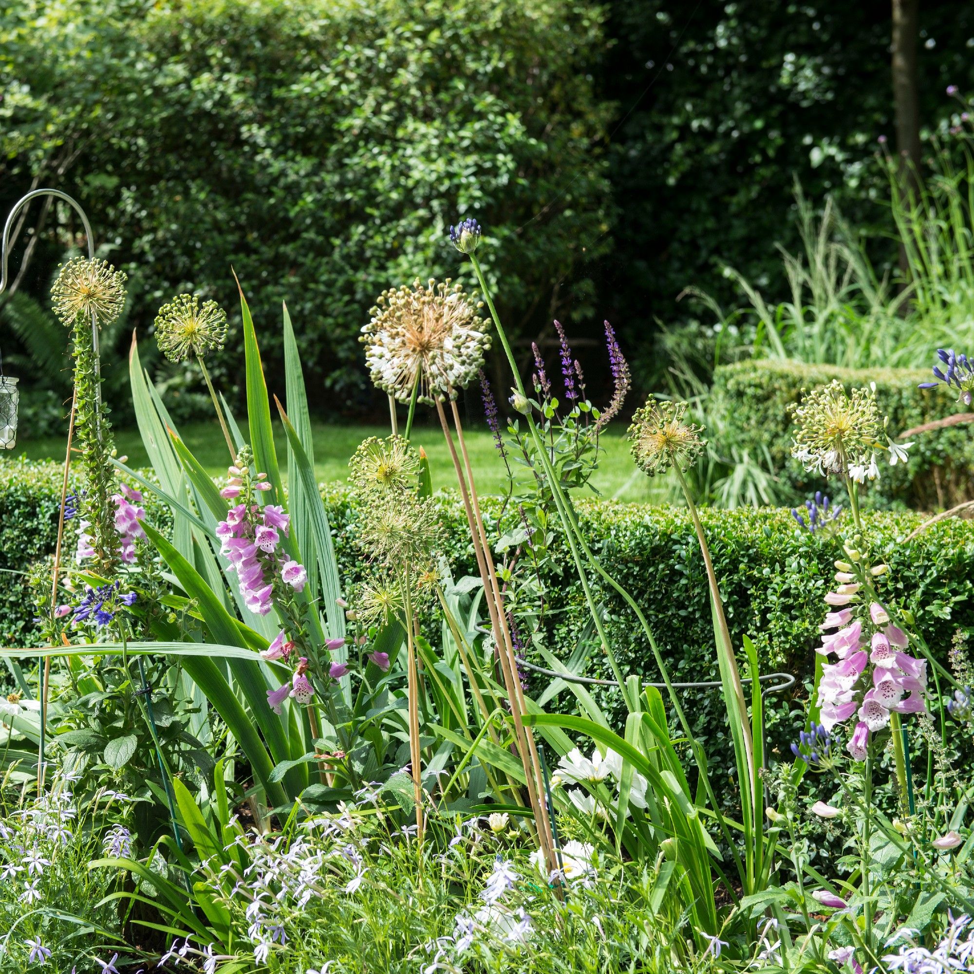 How to collect seeds like Monty Don and fill your…