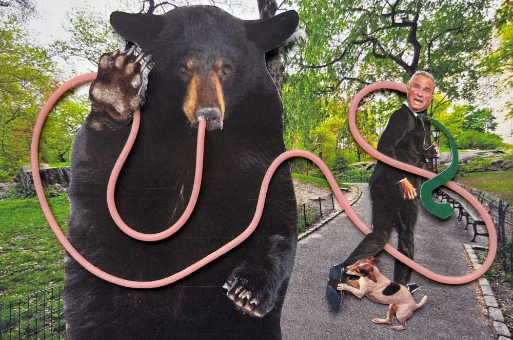 RFK Jr’s wildest campaign moments – from brain worms…