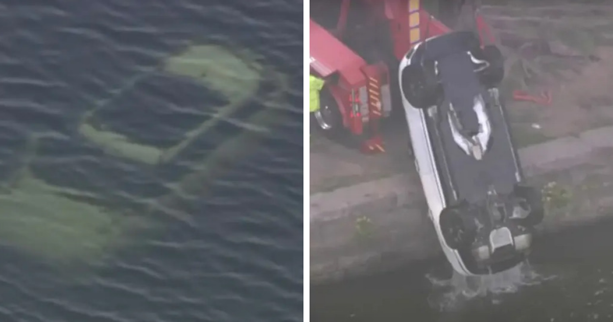 Couple Getting Steamy In Car Accidentally Roll Into…