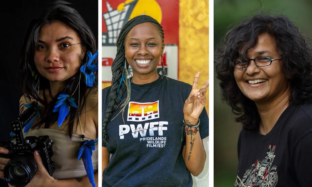 ‘Always outsiders, always men, always white’: how…