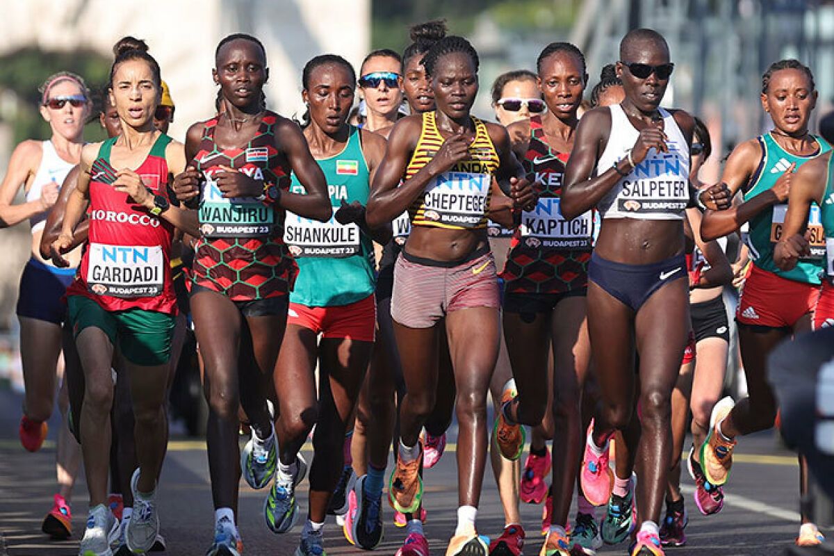 Olympic Runner Doused In Petrol And Set On Fire By…