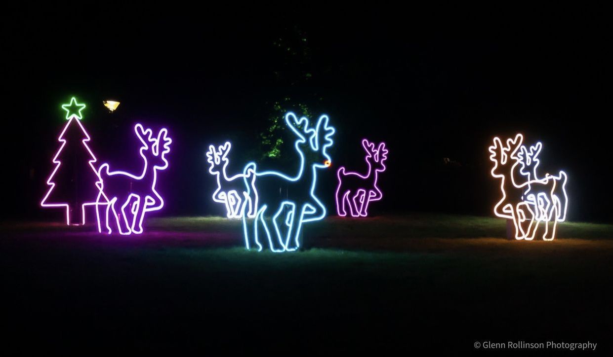 Illuminate Your Holidays with the Volter International…