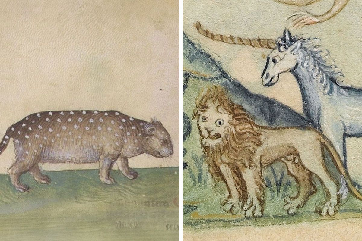 ‘Weird Medieval Guys’: 50 Amusing And Confusing…