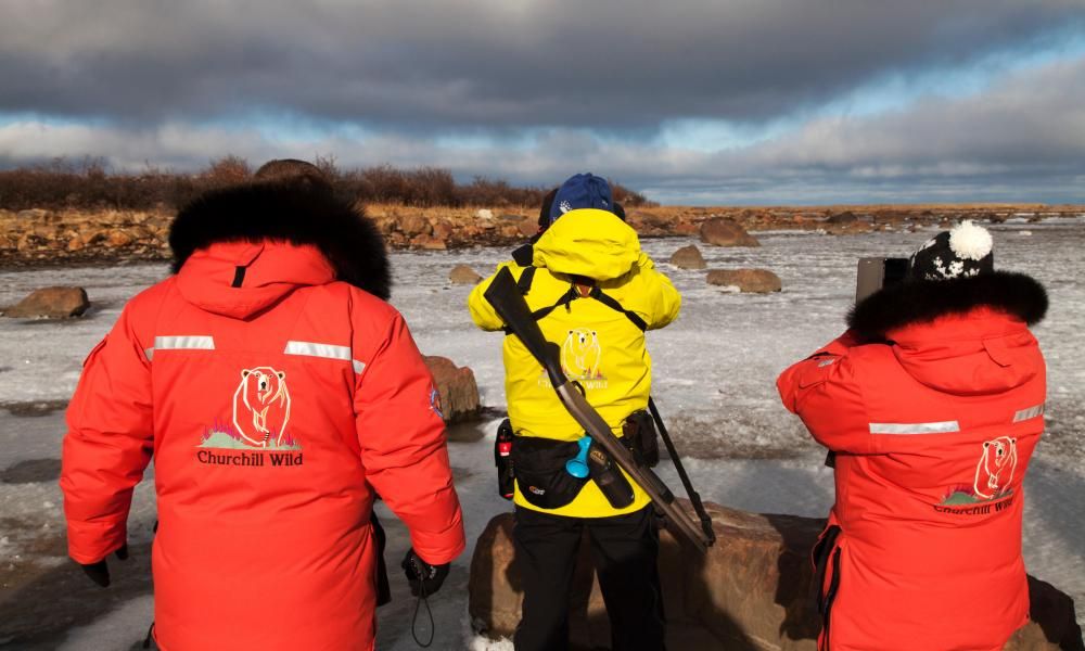 As a polar guide I need to take a gun to the Arctic.…
