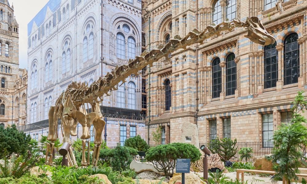 Natural History Museum plans revamp to become climate…