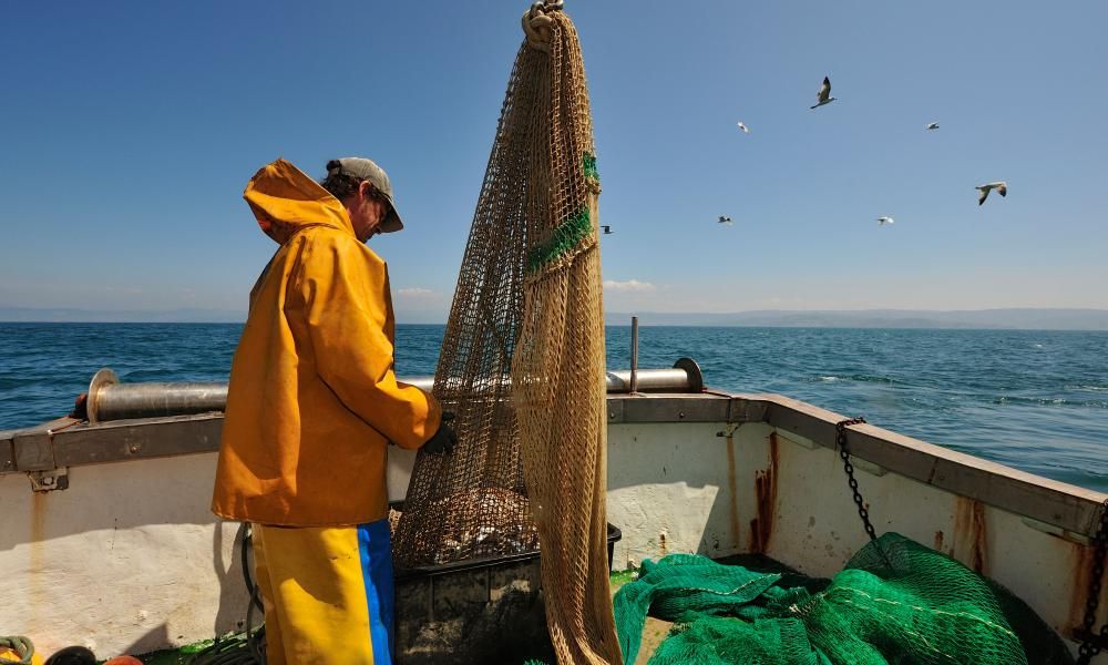 More than 80% of EU marine protected areas are…