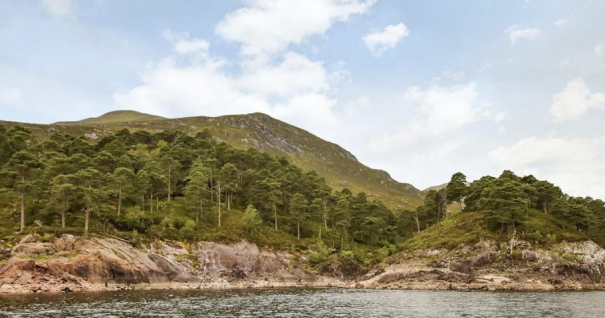 'Spectacular' Highland estate spanning more than 4000…