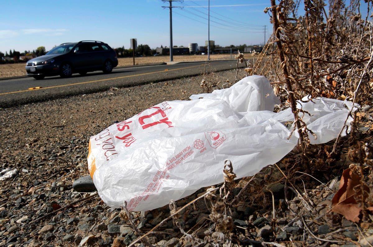 California governor signs law banning all plastic…