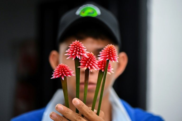 Colombia's Inirida Flower: From 'Weed' To Emblem For…