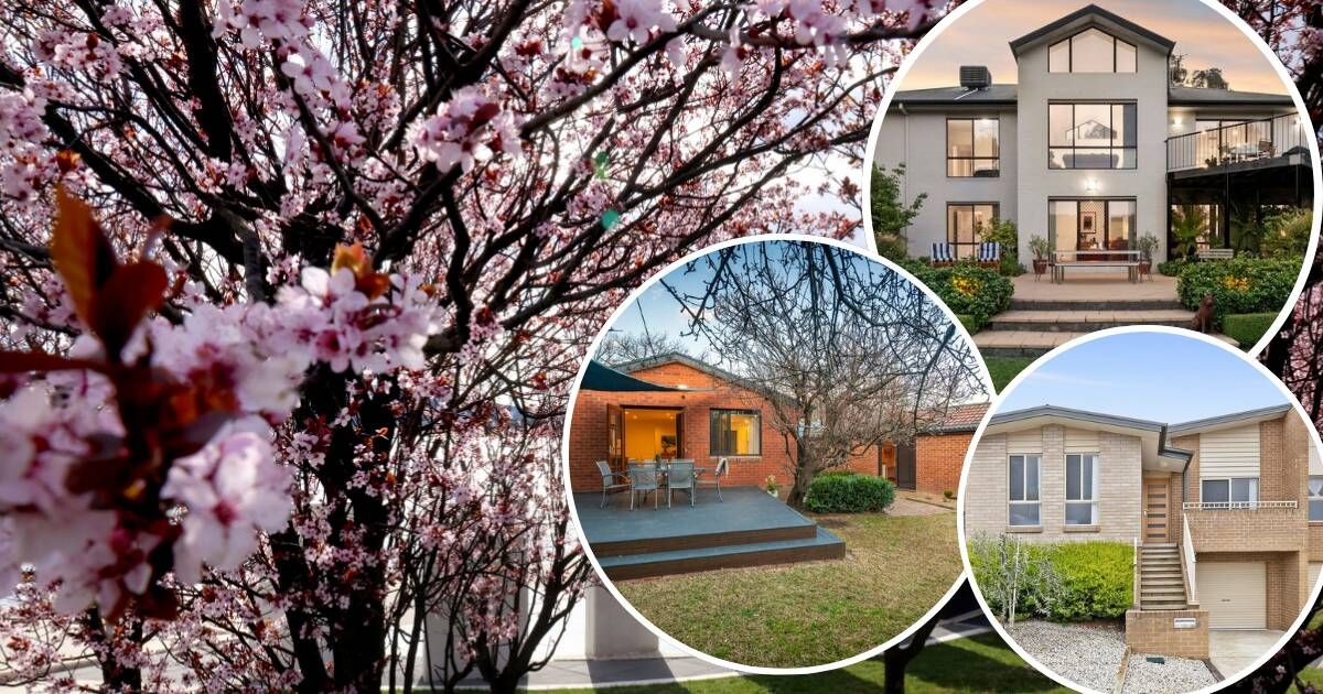 Buyers market? Canberra's subdued spring property…