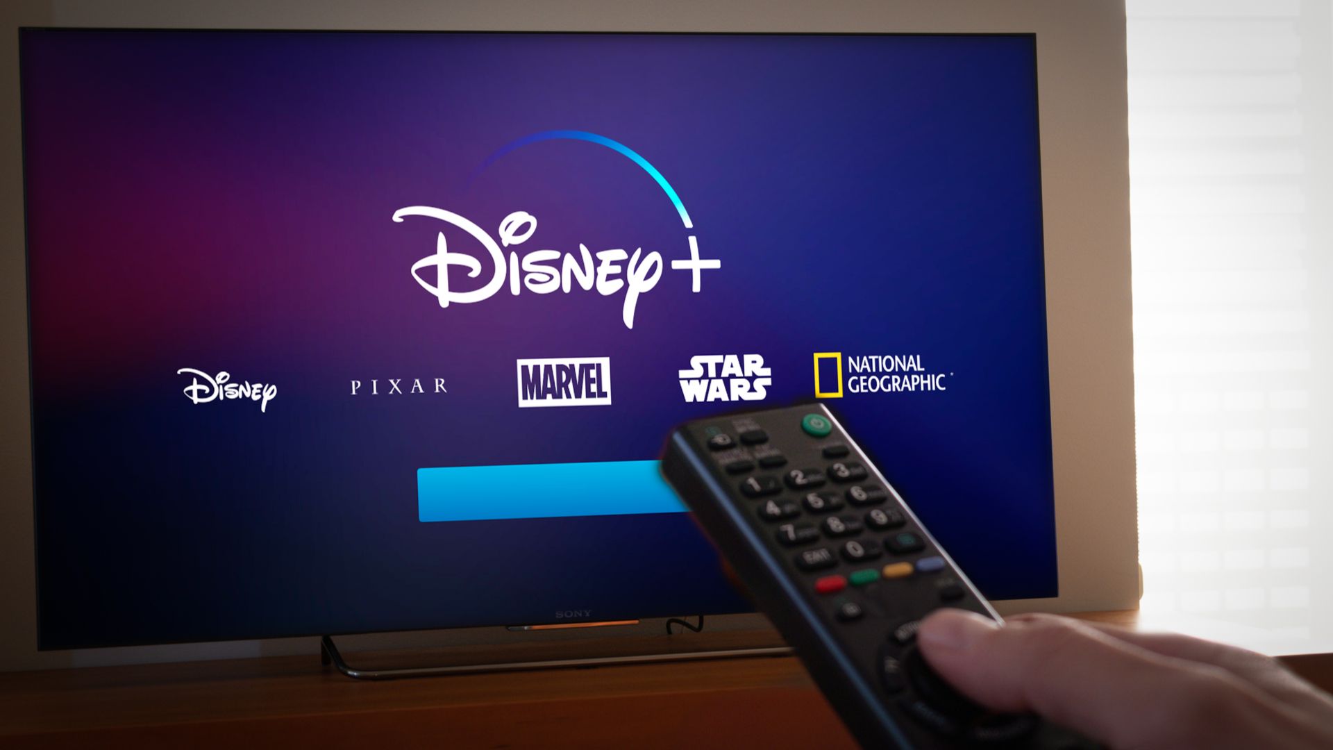 Disney Plus’ password-sharing fees are official
