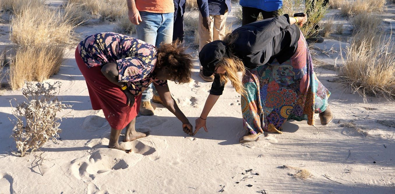 Reading desert sands – Indigenous wildlife tracking…