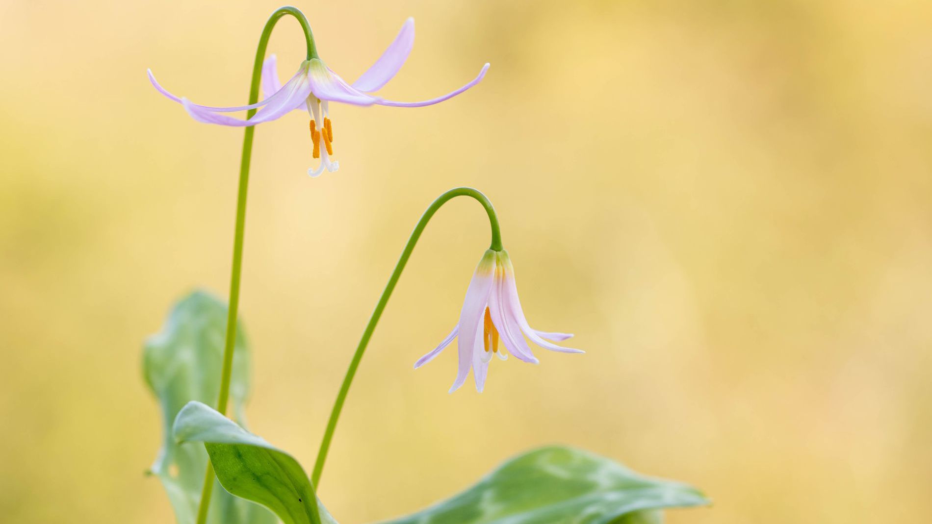 GuruShots: Winning images from the latest Less is More…