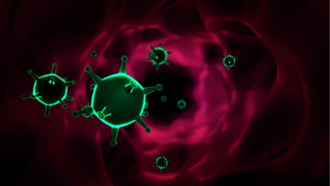 Marburg virus in circulation, deaths reported: Can it…