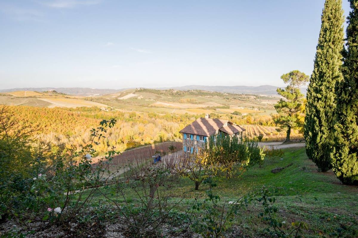 Best vineyard stays on Airbnb for wine enthusiasts,…
