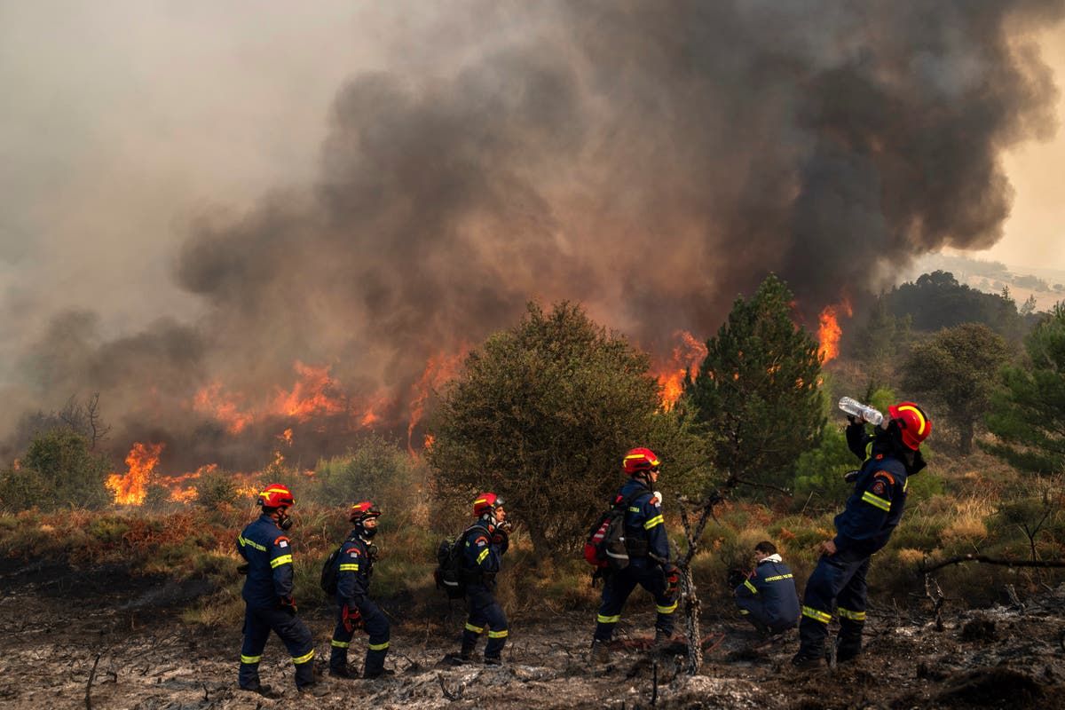 Deadly Greece wildfire believed to have been started…