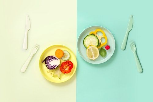 A Mouse Study On Intermittent Fasting and Caloric…